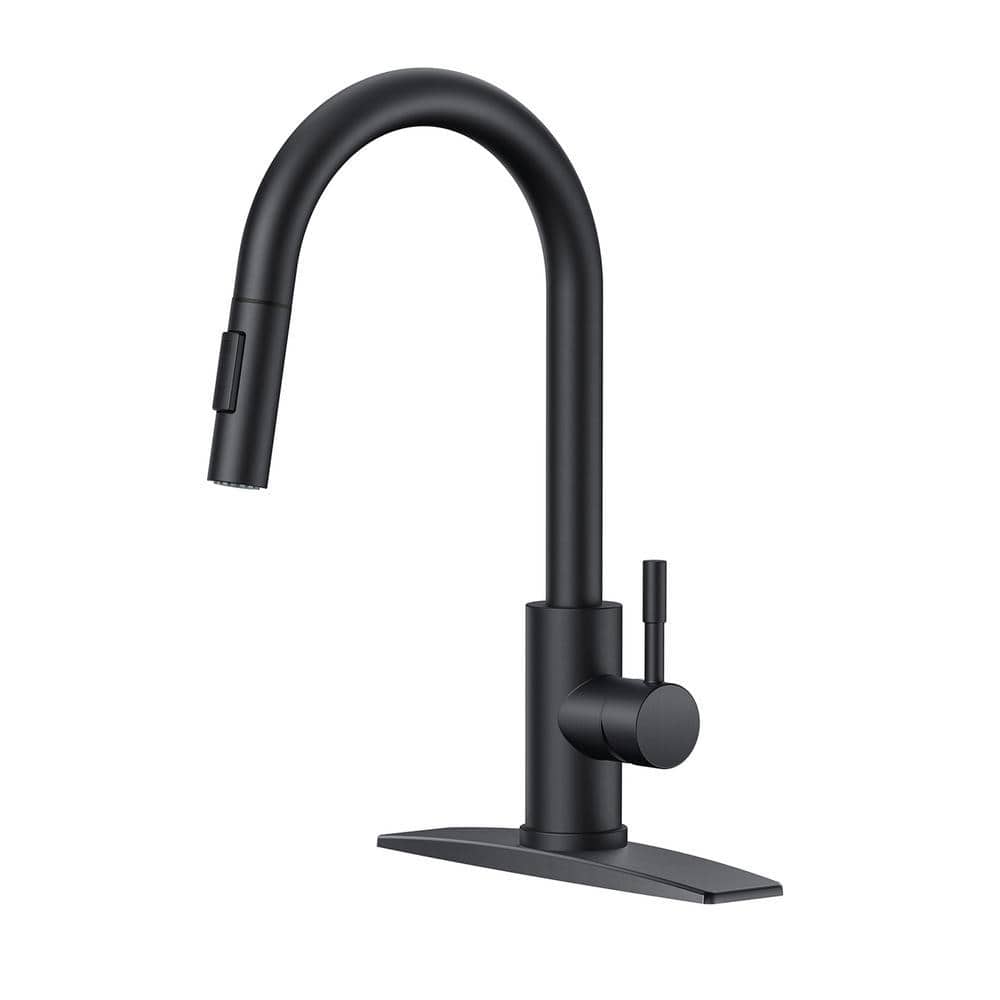 ANZA Single Handle Pull Down Sprayer Kitchen Faucet with 15.27 in. 360 ...