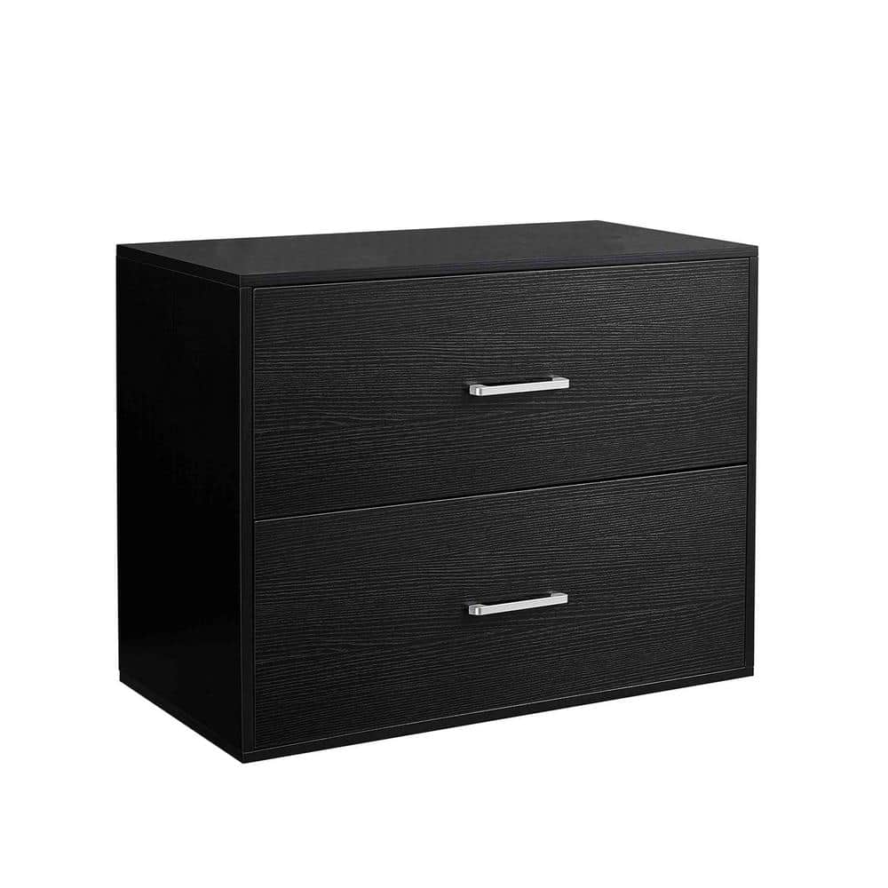 Wateday Black File Cabinet with 2-Drawers YJ-YUKI9595658 - The Home Depot