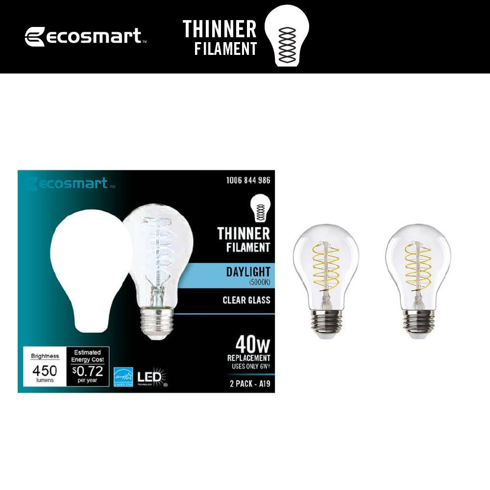 EcoSmart 40-Watt Equivalent A19 ENERGY STAR and CEC Dimmable Fine Bendy ...