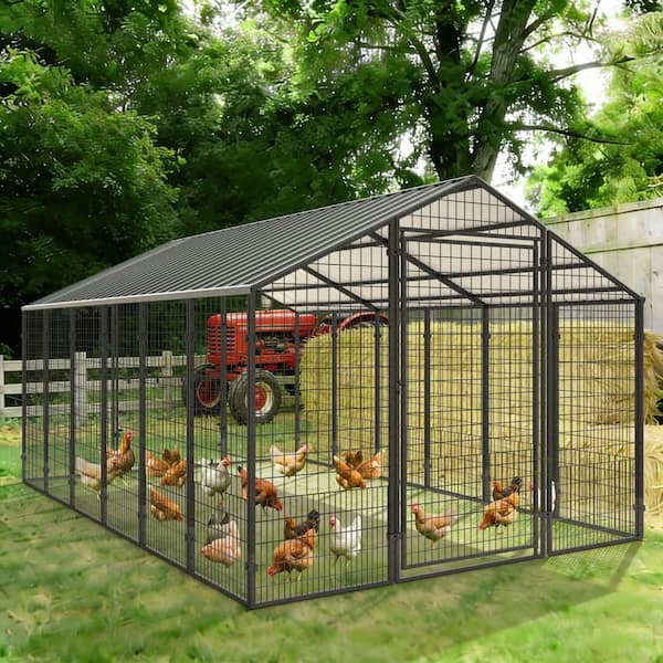 VEIKOUS 10.5 ft. x 6.2 ft. Large Metal Chicken Coop with Run for 15 ...
