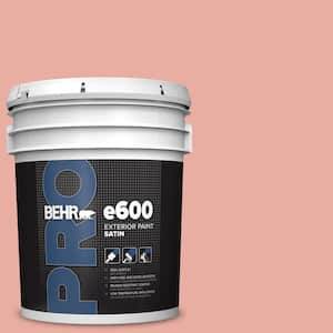BEHR PRO 5 gal. #180C-3 Rose Linen Low Luster Exterior Paint PR62005 ...