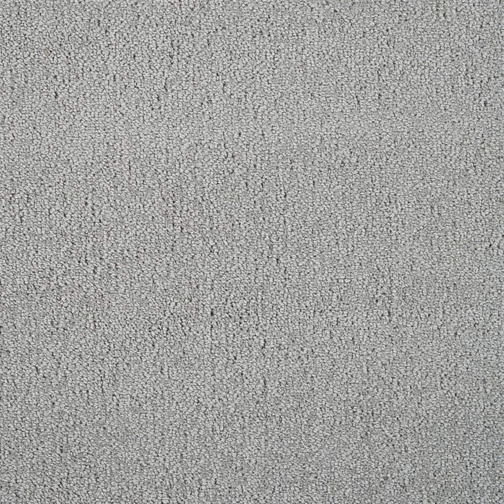 Natural Harmony 6 in. x 6 in. Texture Carpet Sample - Feather - Color ...