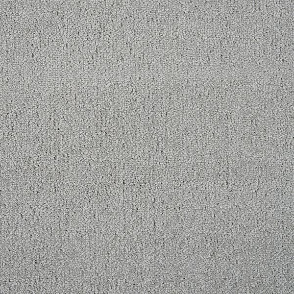 Natural Harmony 6 in. x 6 in. Texture Carpet Sample - Feather - Color ...