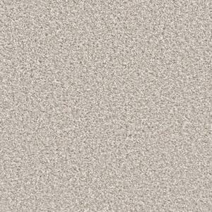 Home Decorators Collection 8 in. x 8 in. Texture Carpet Sample ...