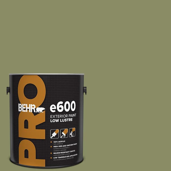 BEHR PRO 1 gal. #S360-5 Yogi Low Luster Exterior Paint PR62301 - The ...
