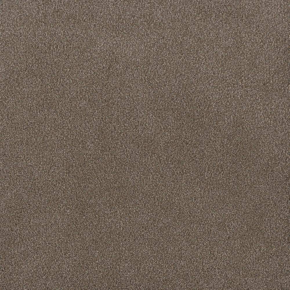 Home Decorators Collection First Class I - Shire - Brown 32 oz. SD ...
