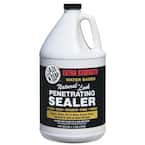 Eagle 1 Gal. Natural Seal Penetrating Clear Water-Based Concrete and Masonry Water Repellant ...