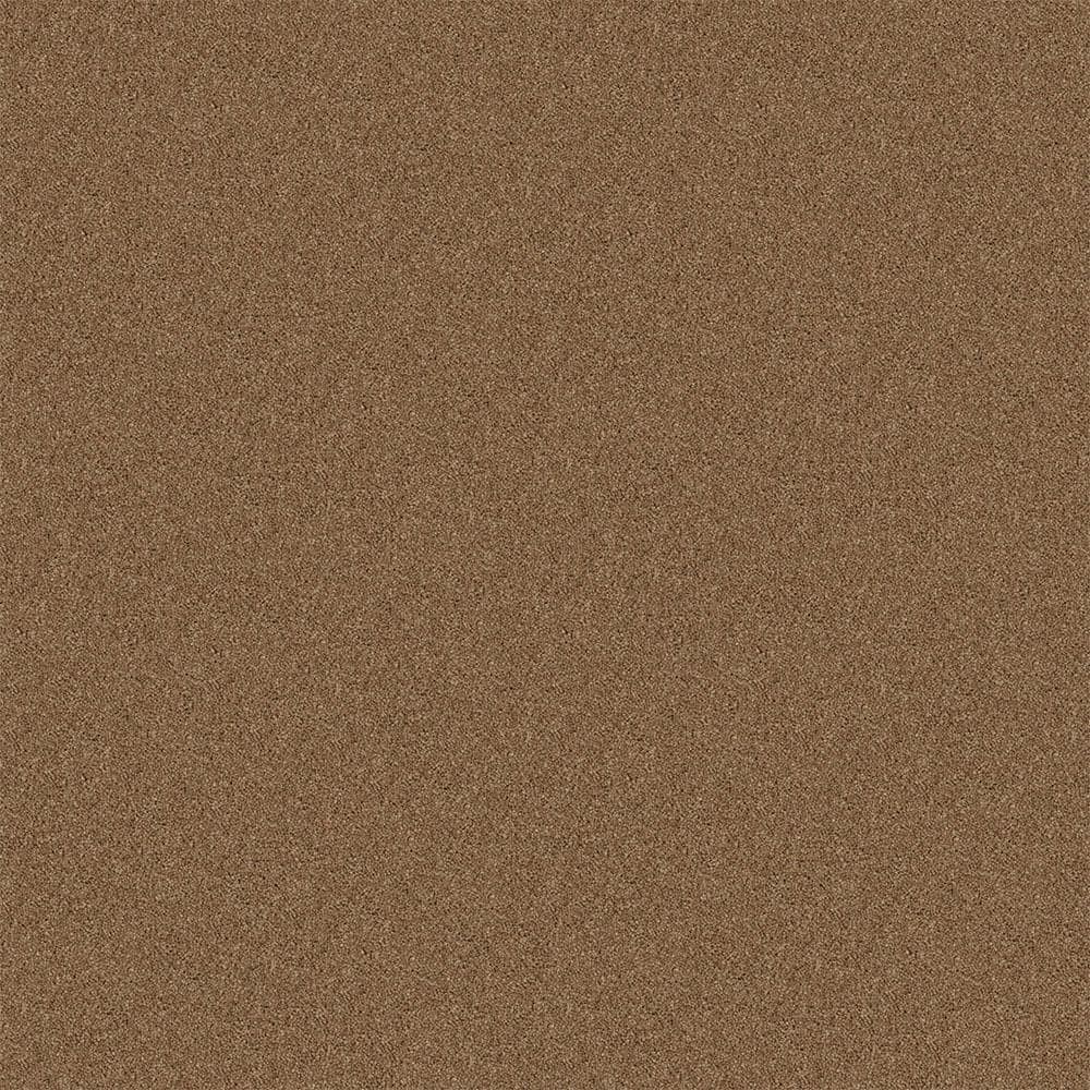 TrafficMaster Watercolors I - Trail Mix - Brown 28.8 oz. Polyester ...