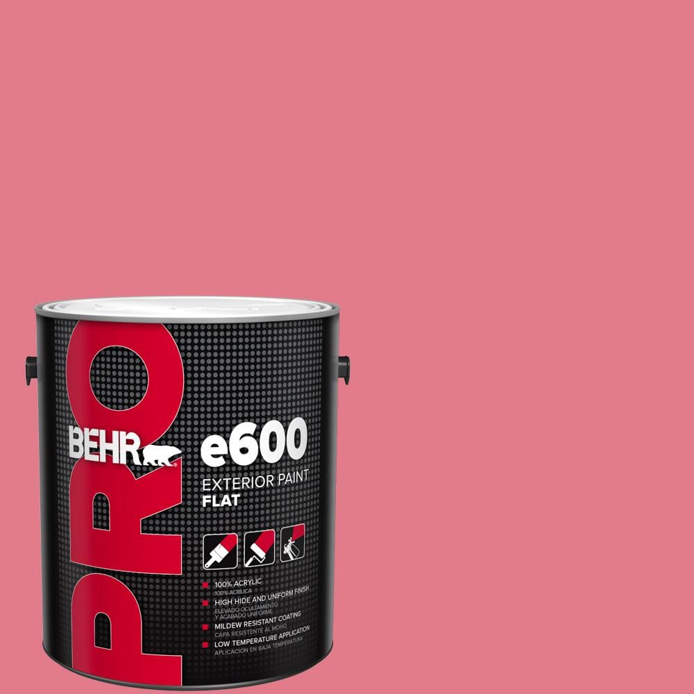 BEHR PRO 1 gal. #P150-4 Hot Gossip Flat Exterior Paint PR61301 - The ...