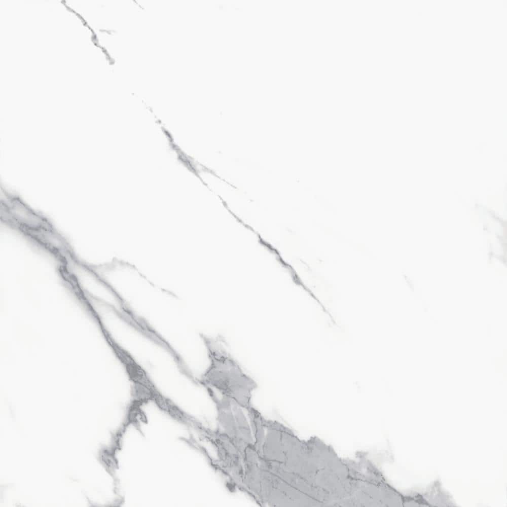 Lilly Blanco 24 in. x 24 in. Porcelain Floor and Wall Tile (15.50 sq ...
