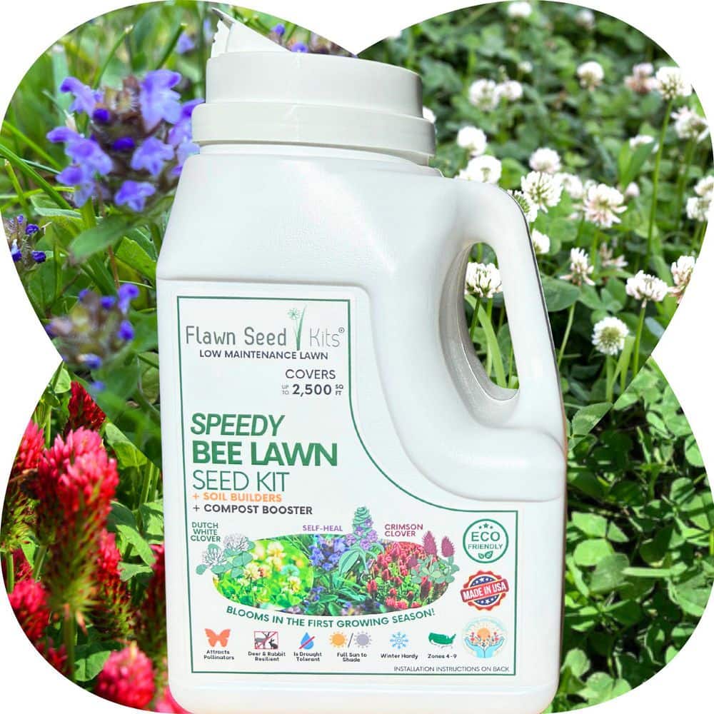 Flawn Seed Kits Speedy Bee Lawn Flower Seed, Easy Spread Shaker, Low ...