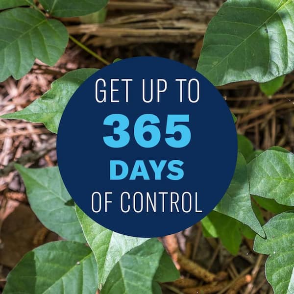 BIOADVANCED 32 oz. Ready to Spray Extended Control Brush Killer 820172B ...