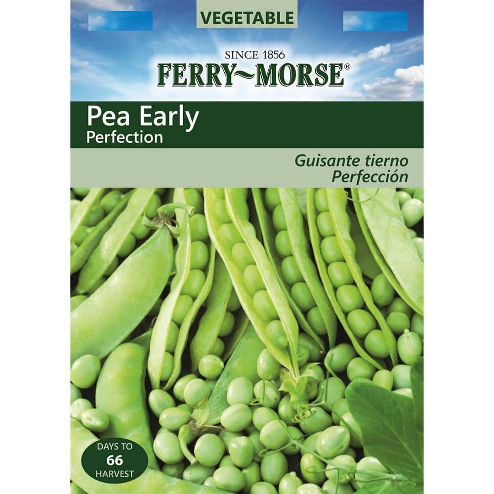 Ferry-Morse Pea Early Perfection Seed 7513 - The Home Depot