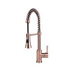 Fontaine by Italia Residential Single-Handle Spring Coil Pull-Out ...