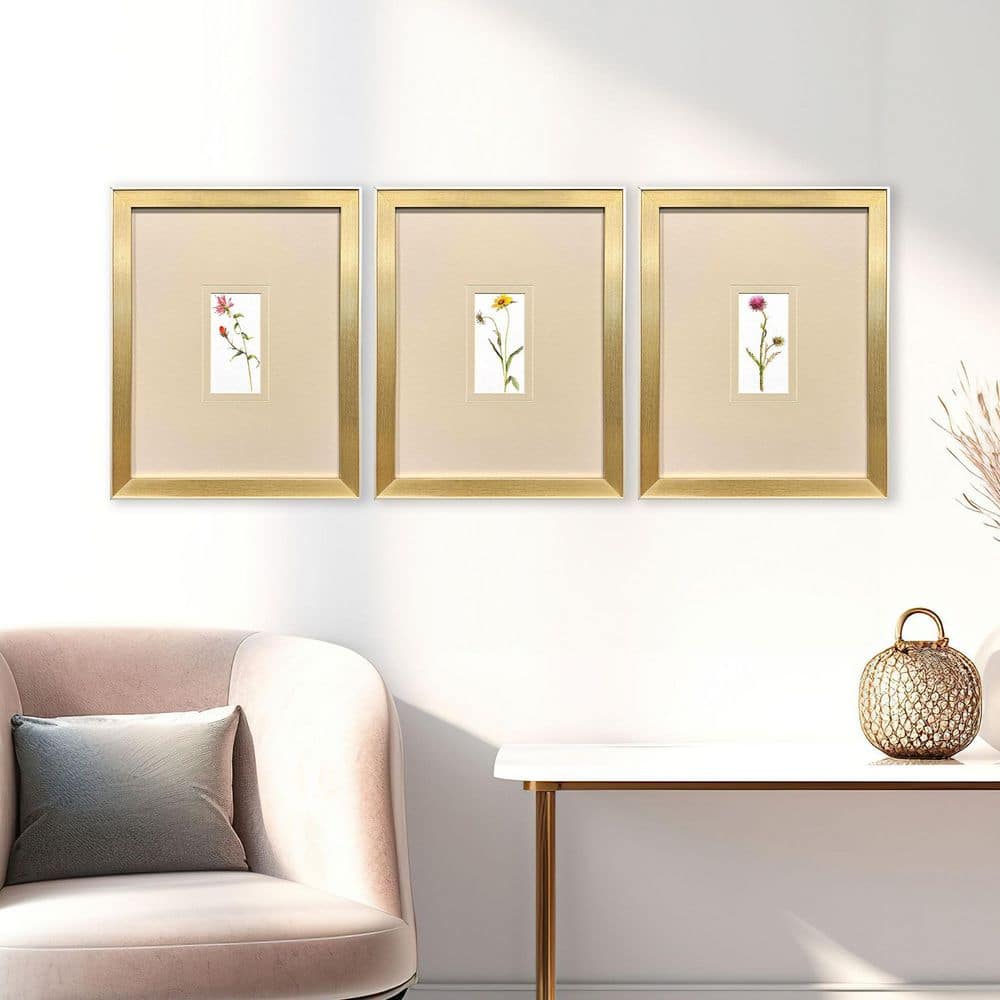Paragon Pretty Florals by Keeling 3 Piece Framed Giclee Nature Art ...
