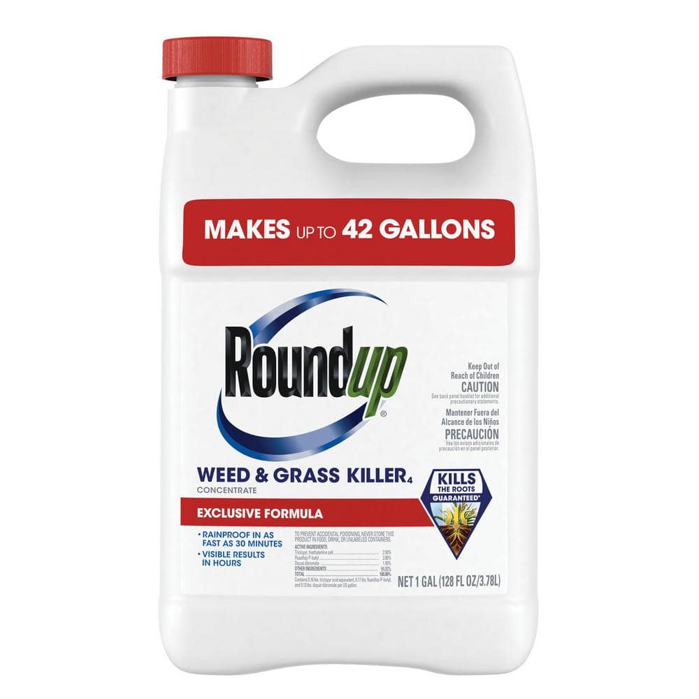 Roundup 1 Gal. Weed & Grass Killer4 Concentrate, Use In and Around ...