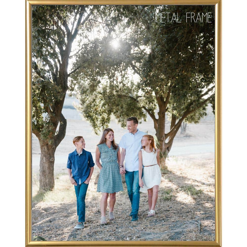 Timeless Frames 10 in. x 13 in. Metal Gold 62050 - The Home Depot