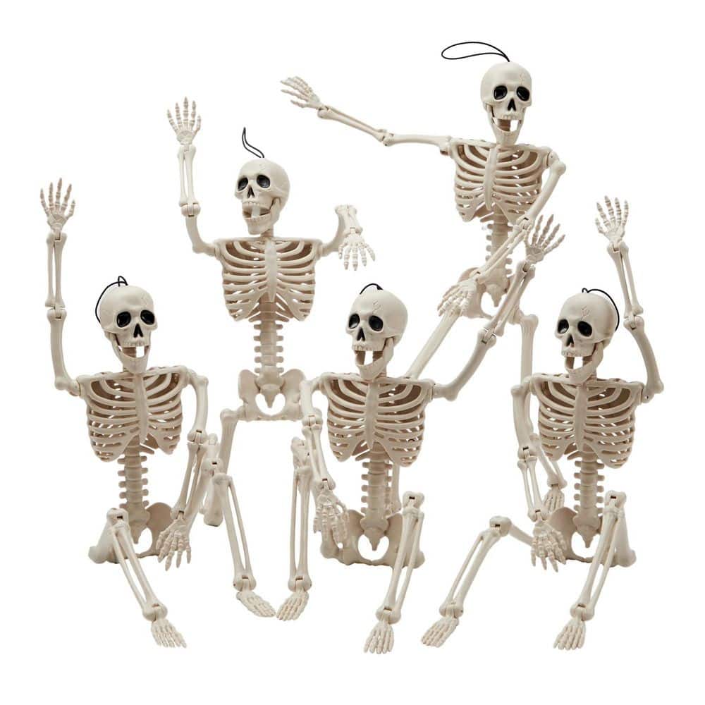 Save 43% • 5 Pack Posable Skeletons, Full Body with Movable Joints, 16 ...
