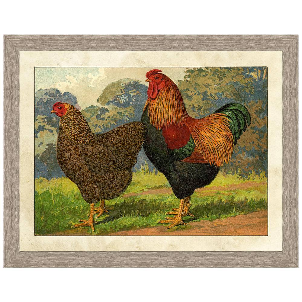 Vintage Print Gallery "Rustic chicken" Framed Archival Paper Wall Art ...