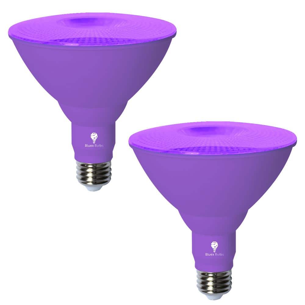 BLUEX BULBS 120-Watt Equivalent PAR38 Decorative LED Light Bulb in ...