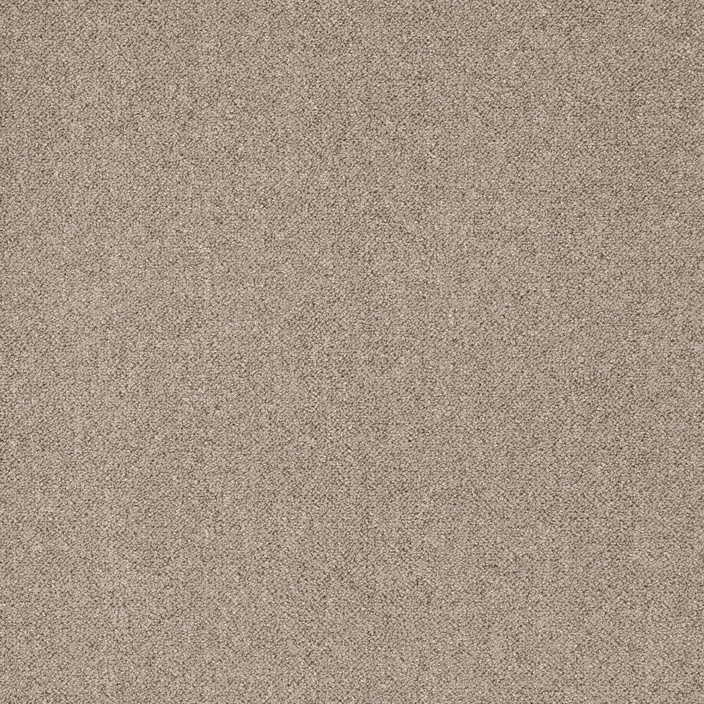Mohawk 8 in. x 8 in. Level Loop Carpet Sample - Advance -Color ...