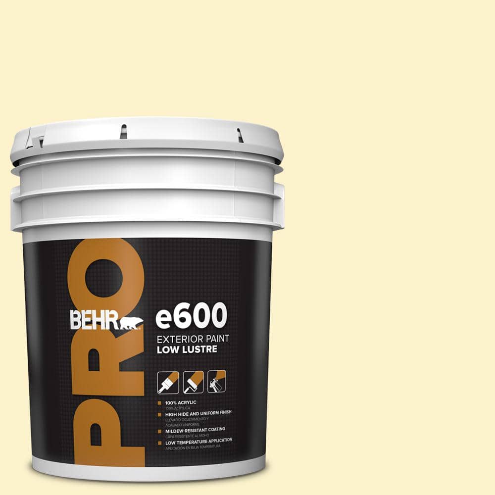 BEHR PRO 5 gal. #390A-3 Twinkle Low Luster Exterior Paint PR62005 - The ...