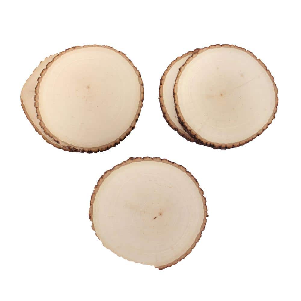 Walnut Hollow 2 in. x 1 ft. x 1 ft. Rustic Basswood Thick Round Project ...