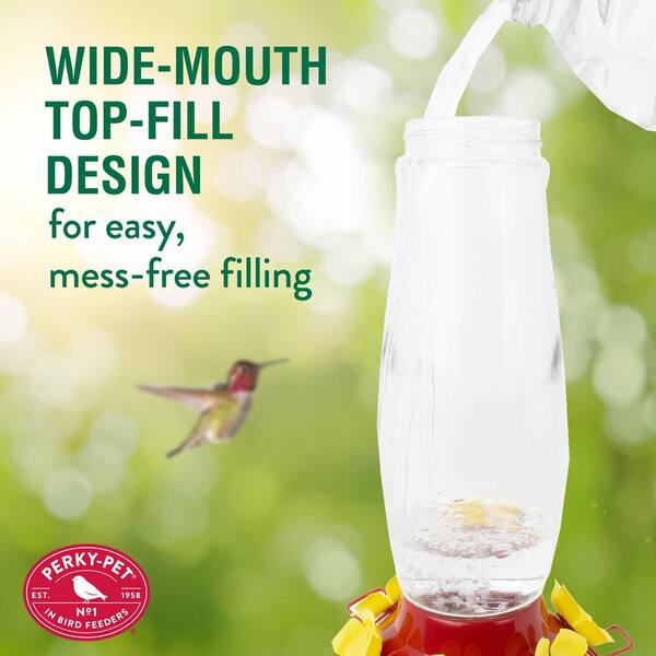 Buy 48 oz. Top-Fill Grand Master Plastic Hummingbird Feeder Online at ...