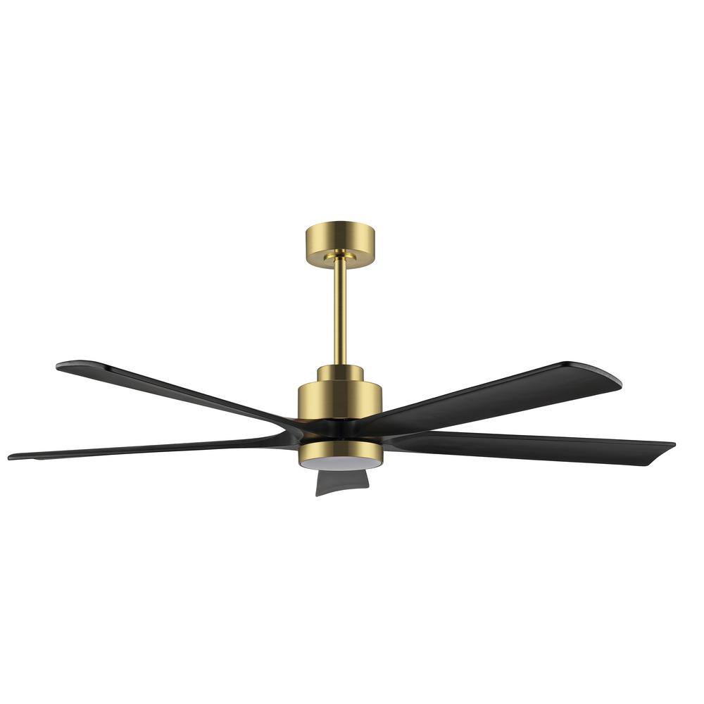 WINGBO 60 in. LED Indoor Black and Gold Ceiling Fan with Remote WBCF ...