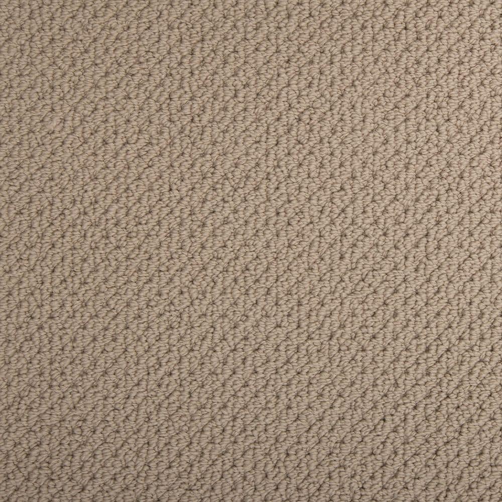 Lifeproof with Petproof Technology Beyond Cozy - Cushion-Beige 12 ft ...