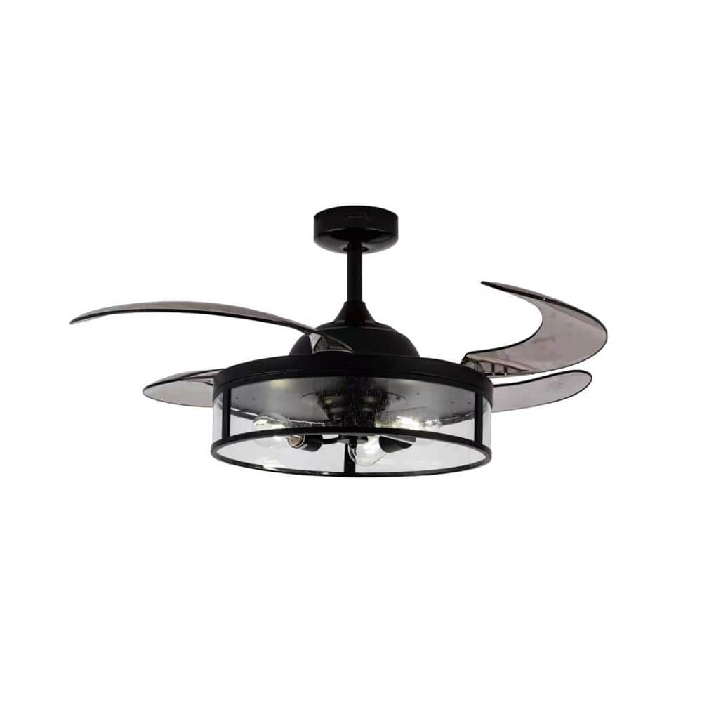 Fanaway Adelaide 36 in. Indoor Black Retractable Ceiling Fan with Light ...