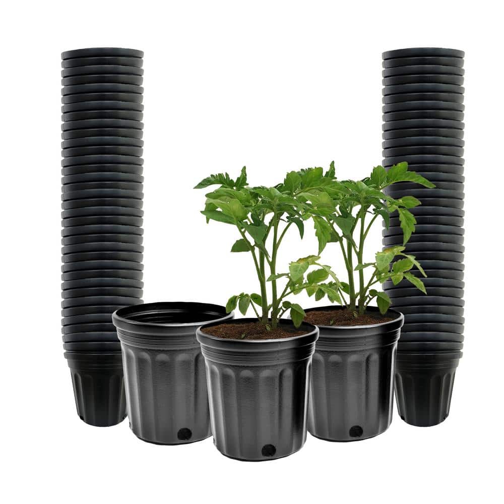 Viagrow 1/2 Gal. Plastic Nursery Pots (100-Pack) VHPP50-100 - The Home ...