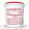 PRO CHLOR TABS 2 lbs. Aerobic Septic Tablets 47002 - The Home Depot