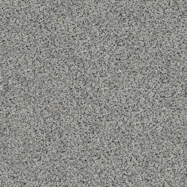 Lifeproof 8 in. x 8 in. Texture Carpet Sample - Karma II - Color ...