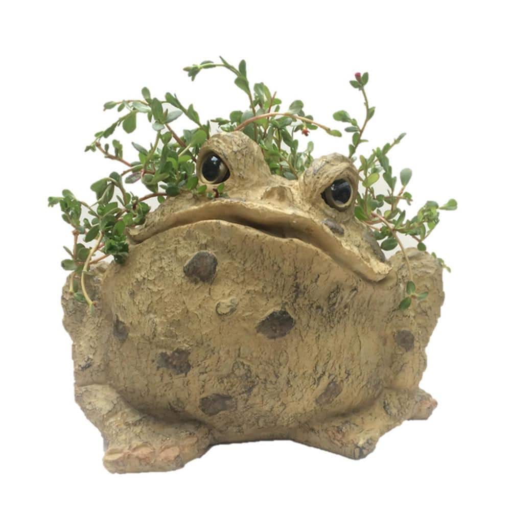 Toad Hollow 10-1/2 in. Toad Planter Garden Frog Statue (Holds 6 in. Pot ...