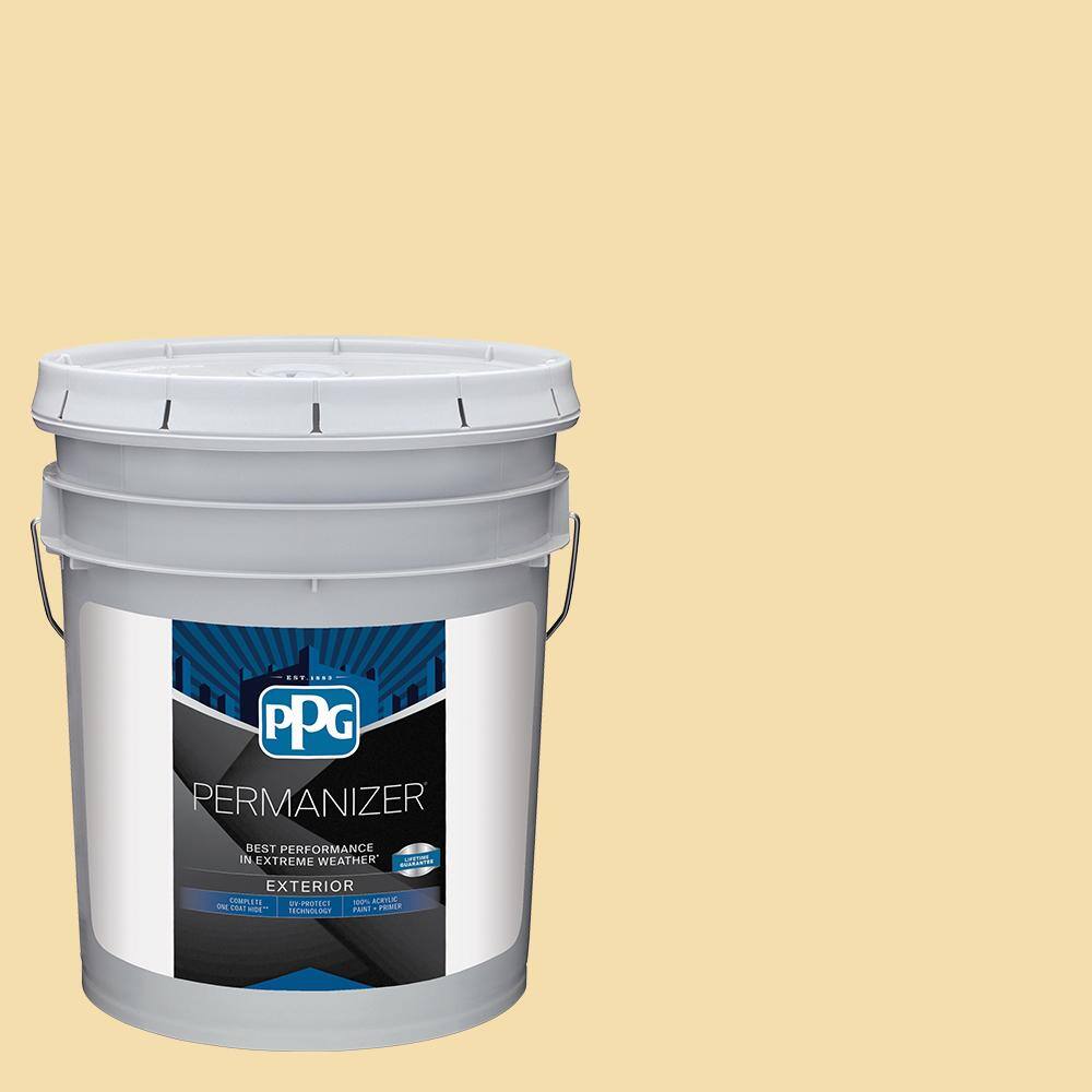 PERMANIZER 5 gal. PPG1209-3 Dusty Yellow Flat Exterior Paint PPG1209 ...