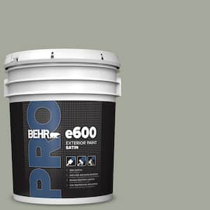BEHR PRO 1 gal. #HDC-AC-18 Garden Promenade Low Luster Exterior Paint ...