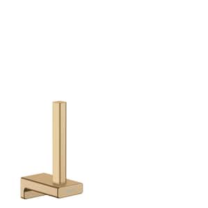 Hansgrohe AddStoris Wall Mount Toilet Paper Holder with Cover in ...