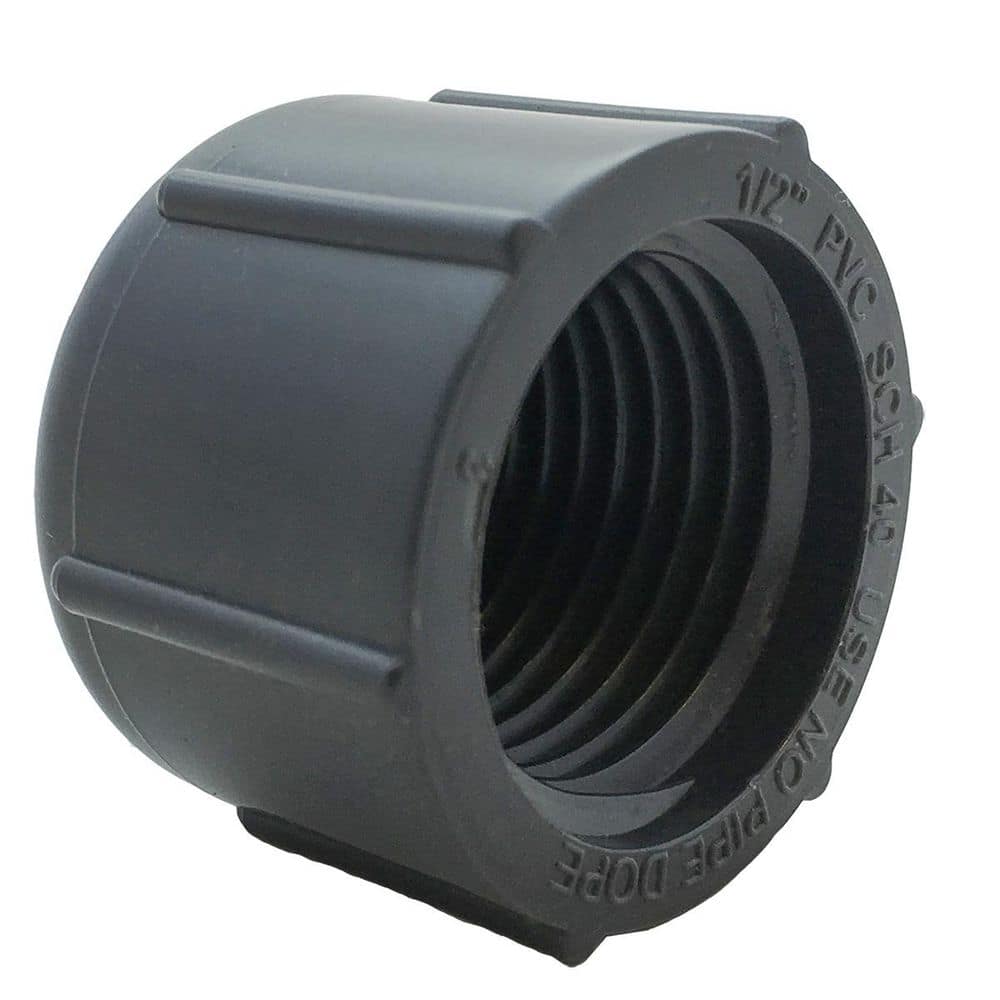 Vigoro 1/2 in. FPT Cap PVC 38414V - The Home Depot