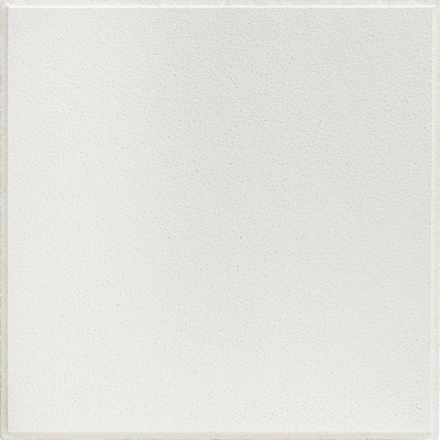Usg Ceilings Alpine 2 Ft X 2 Ft Layin Ceiling Tile 64