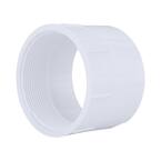Charlotte Pipe 2 in. OD PVC Test Cap Fitting PVC 00132 0800HD - The ...