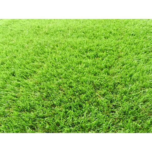 Reviews for TrafficMaster 26 in. x 36 ft. Artificial Grass Runner | Pg ...