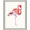 Vintage Print Gallery "Fiery flamingo II" Framed Archival Paper Wall ...