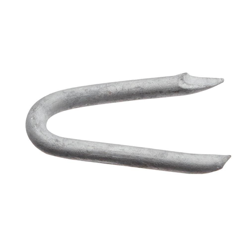Everbilt 1-1/2 in. Hot Dipped Galvanized Staples 1 lb. (Approximately ...