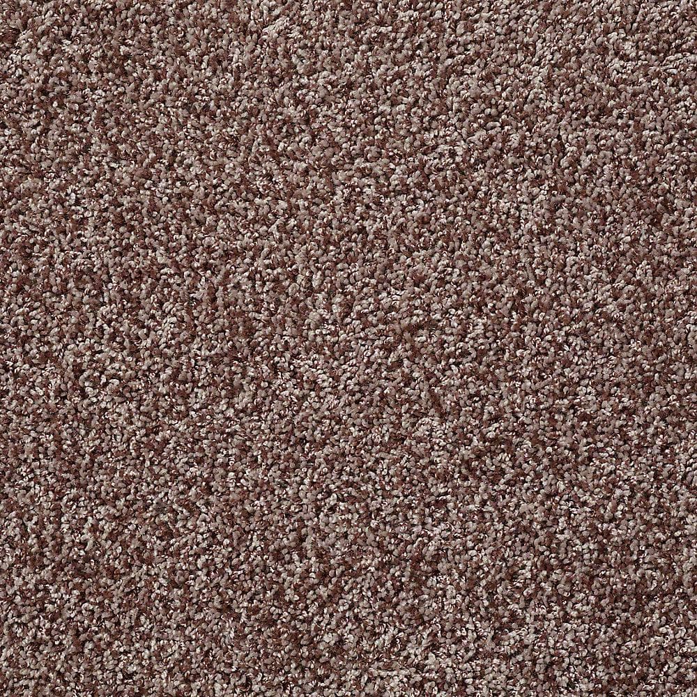 TrafficMaster 8 in. x 8 in. Twist Carpet Sample - Charming - Color ...