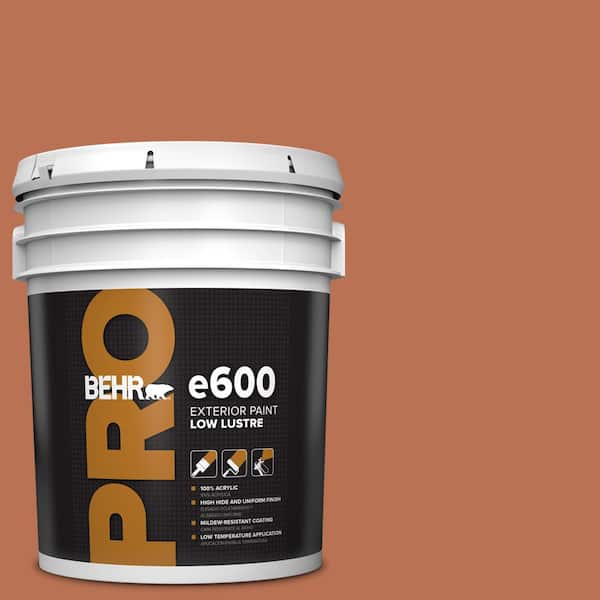 BEHR PRO 5 gal. #230D-6 Iced Tea Low Luster Exterior Paint PR62305 ...