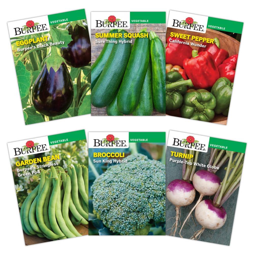 Burpee Rise of Meatless Monday Vegetable Seed Collection (6-Pack) 70163 ...