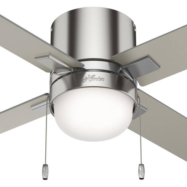 Holden 44 In Indoor Brushed Nickel Ceiling Fan With Light Kit | Shelly ...