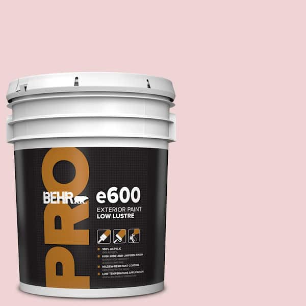 BEHR PRO 5 gal. #S140-1 Radiant Rose Low Luster Exterior Paint PR62005 ...