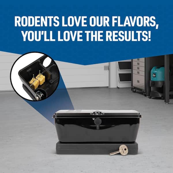 JT Eaton Bait Block Peanut Butter Flavor Anticoagulant Rodenticide for ...